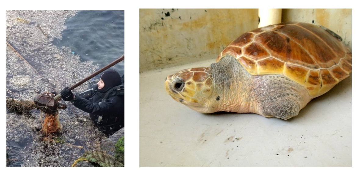 BeMED 19. Gathering data to measure the extent of beach litter on a ...